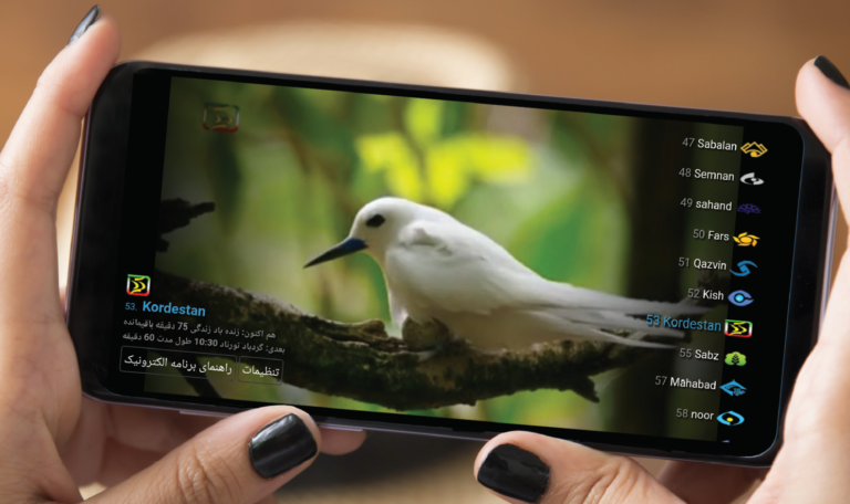 DVB-I – The evolutions of television: any device, any delivery, any content